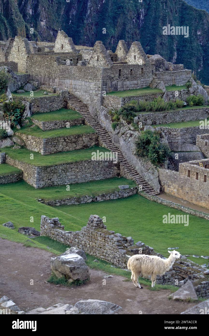 Machu Picchu, Peru. Eastern Urban Sector at top, Grand Staircase ...