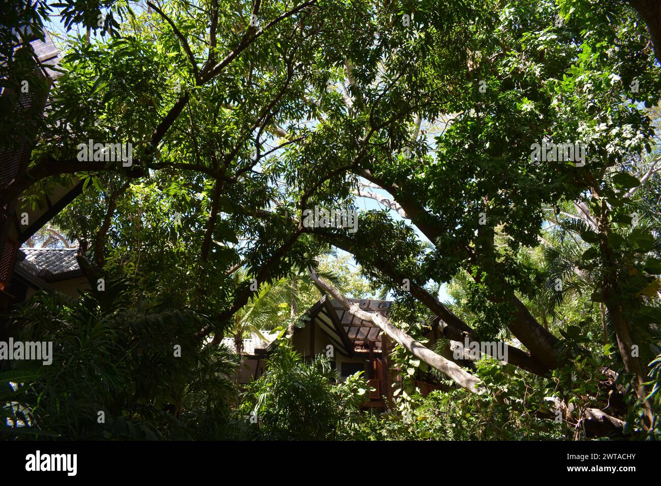 Various people involved in activities on Costa Rican beach Stock Photo ...