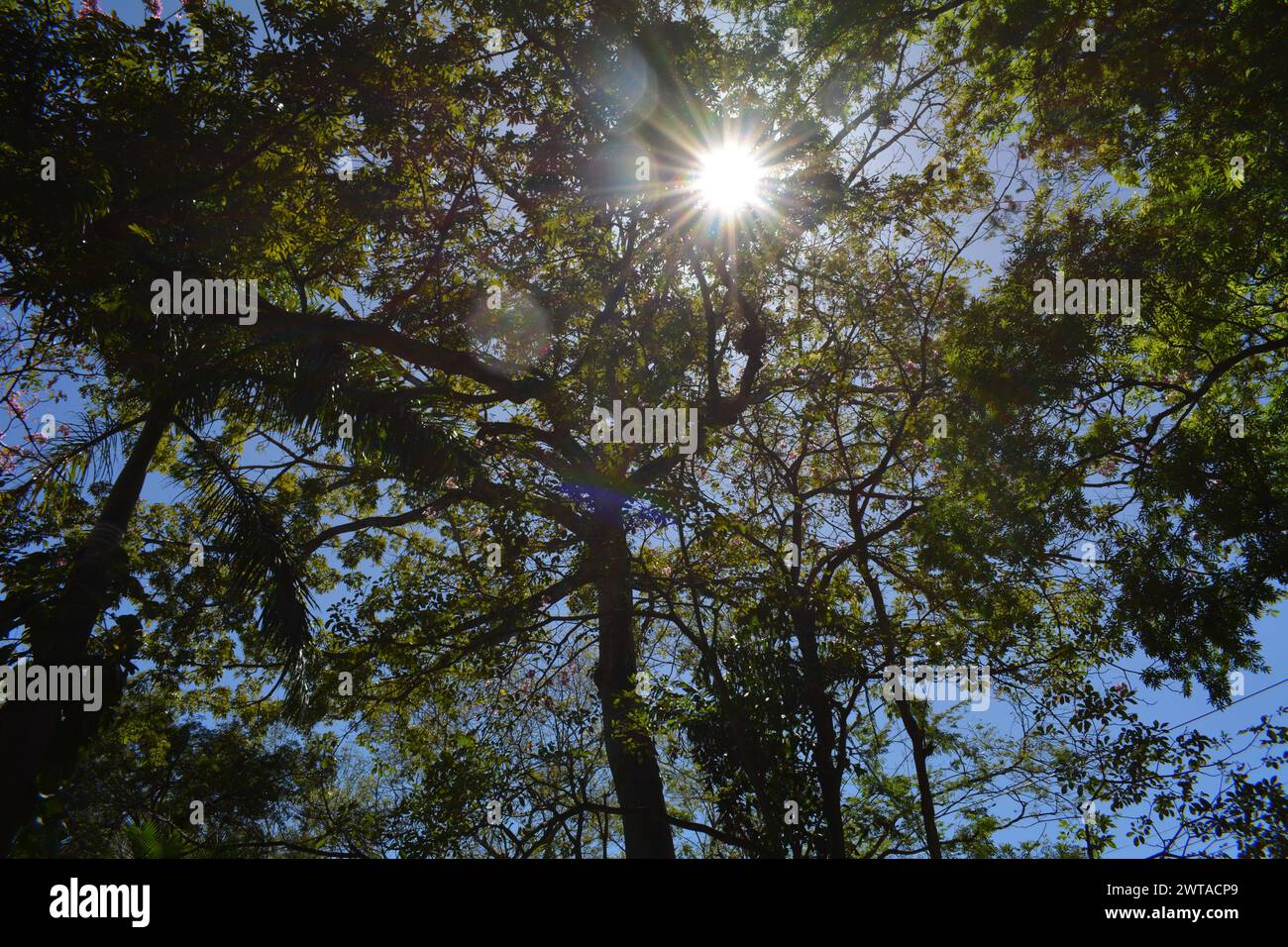 Various people involved in activities on Costa Rican beach Stock Photo ...