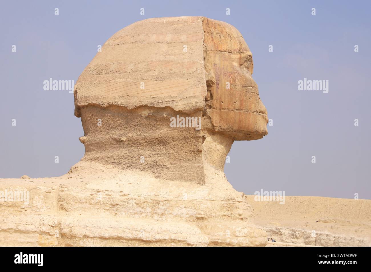 Head Portrait Close Up of Sphinx Giza Cairo Egypt Africa Stock Photo ...