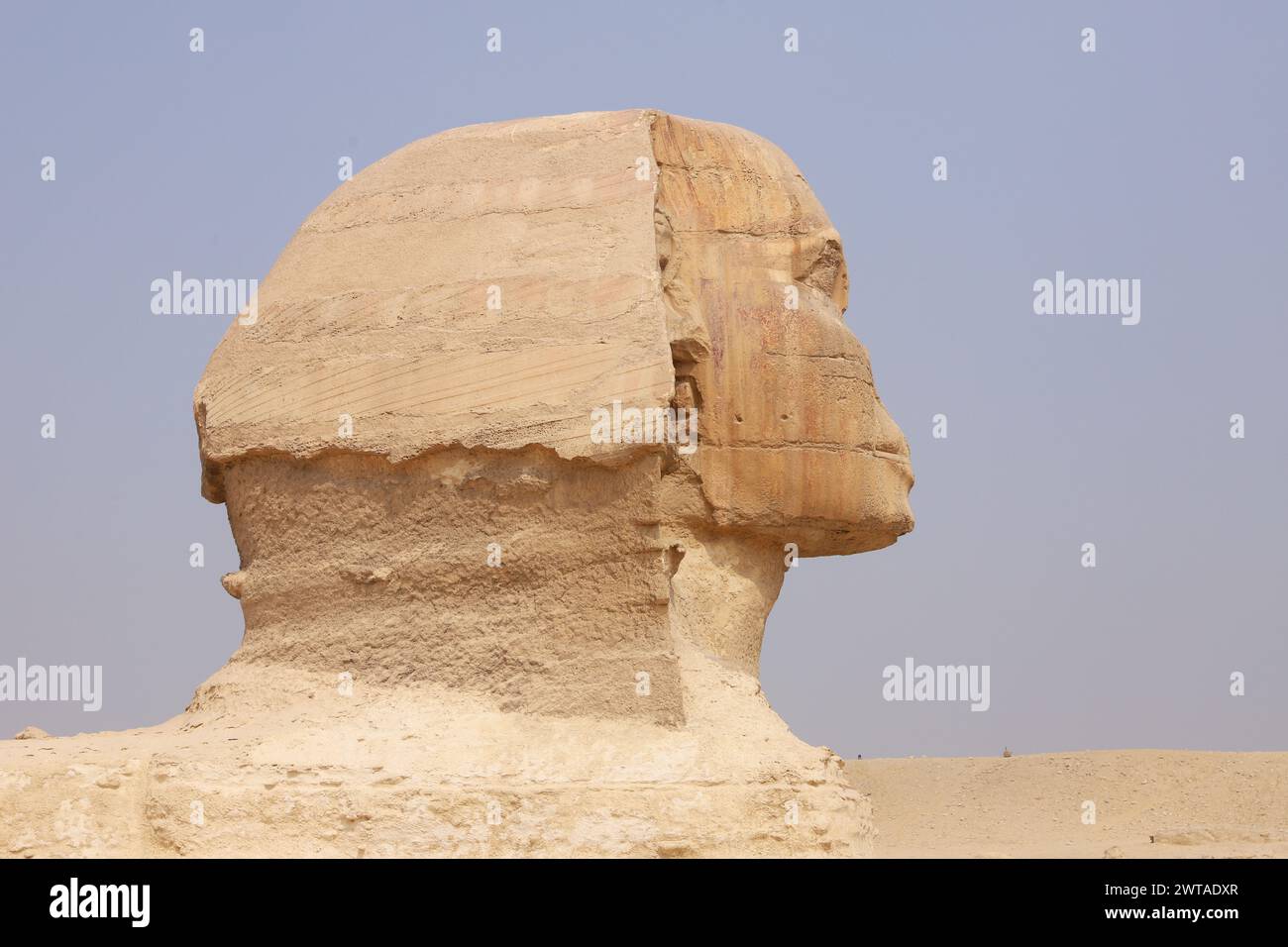 Head Portrait Close Up of Sphinx Giza Cairo Egypt Africa Stock Photo ...