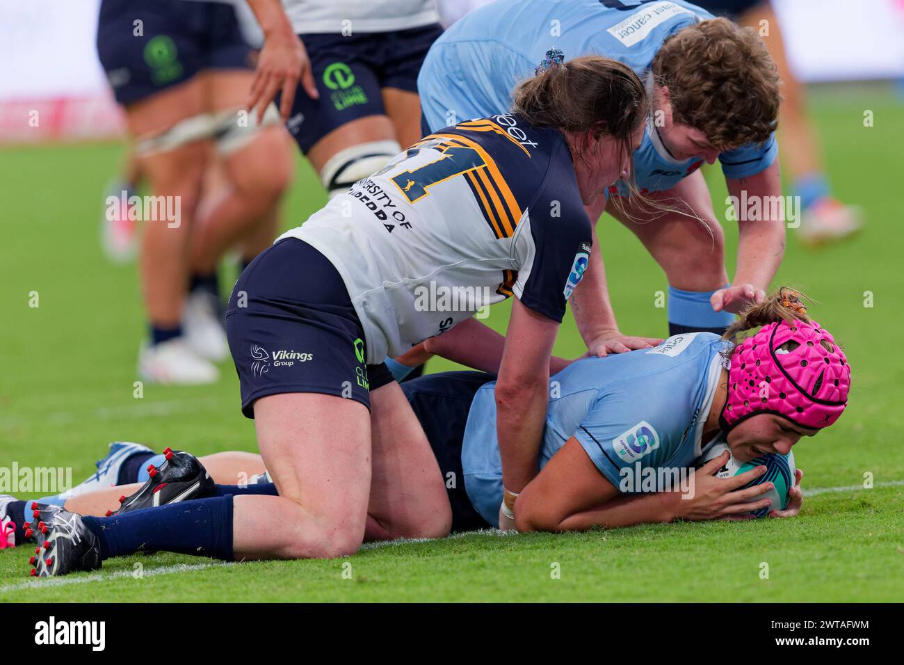 Piper duck hi-res stock photography and images - Alamy