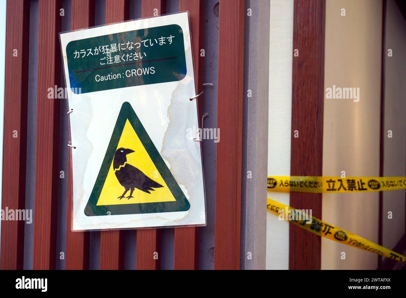 Caution crows hi-res stock photography and images - Alamy