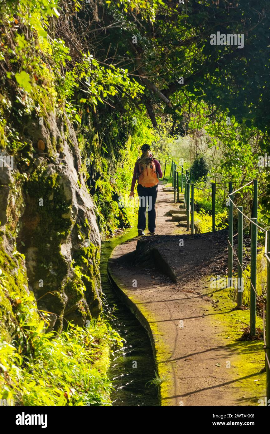 Tourist on Levada do Norte on the Portuguese island of Madeira. Levada ...