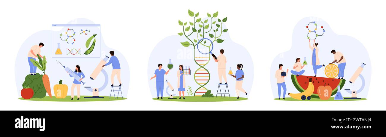 Genetic and food safety research, inspection of vegetable and fruit set ...
