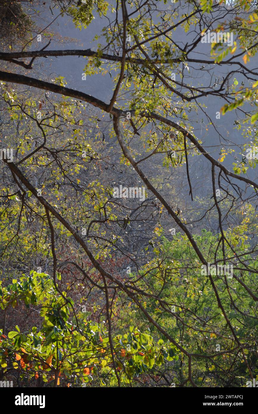 Various people involved in activities on Costa Rican beach Stock Photo ...