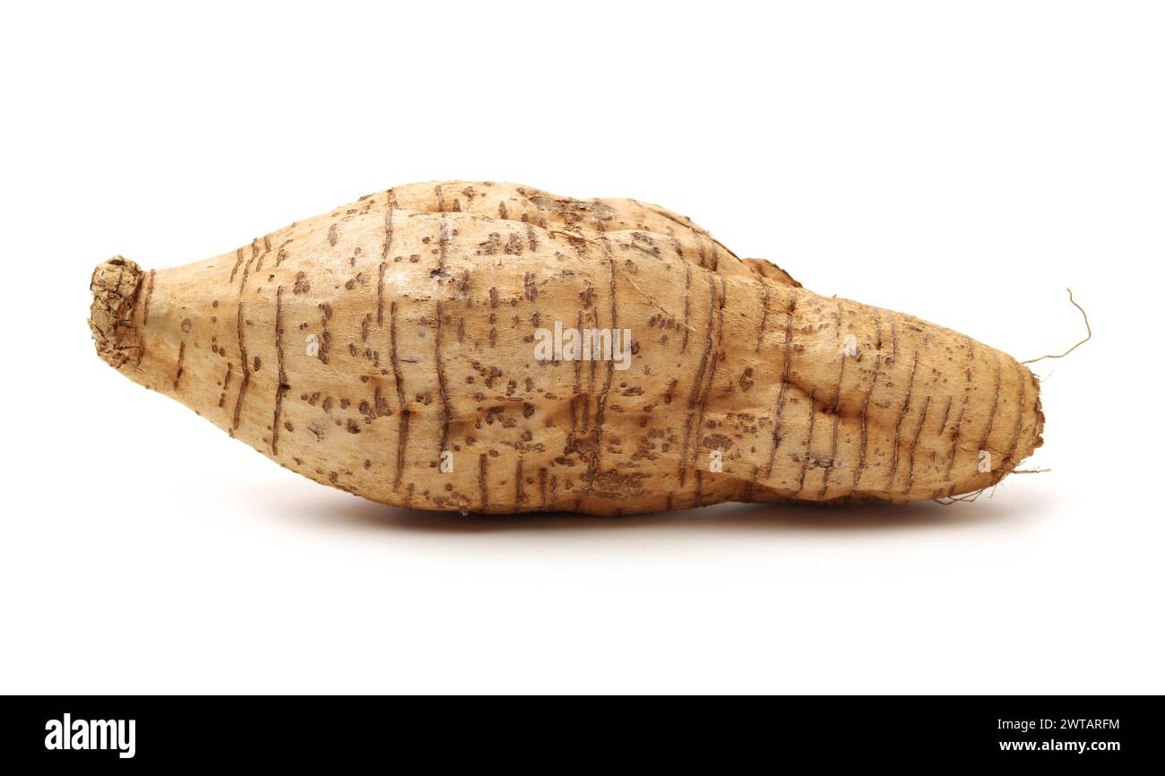 Root of kudzu vine,puerarin Isolated on a white background Stock Photo ...