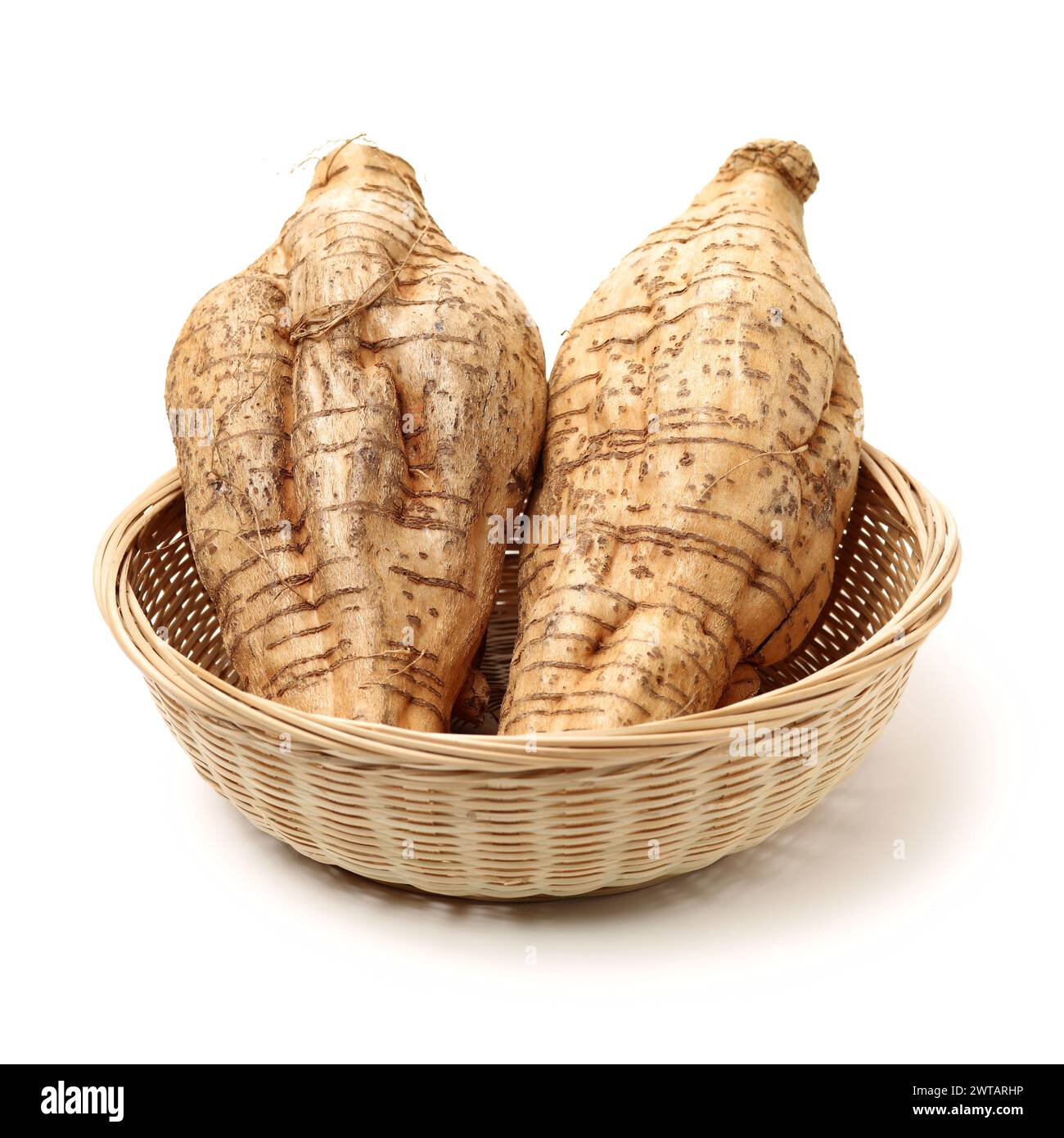 Root of kudzu vine,puerarin Isolated on a white background Stock Photo ...
