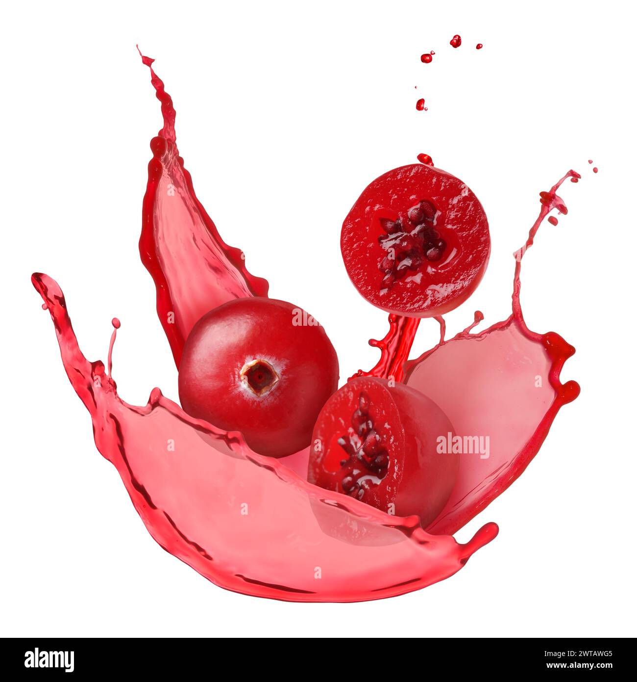 Delicious ripe cranberries and splashing juice in air on white ...