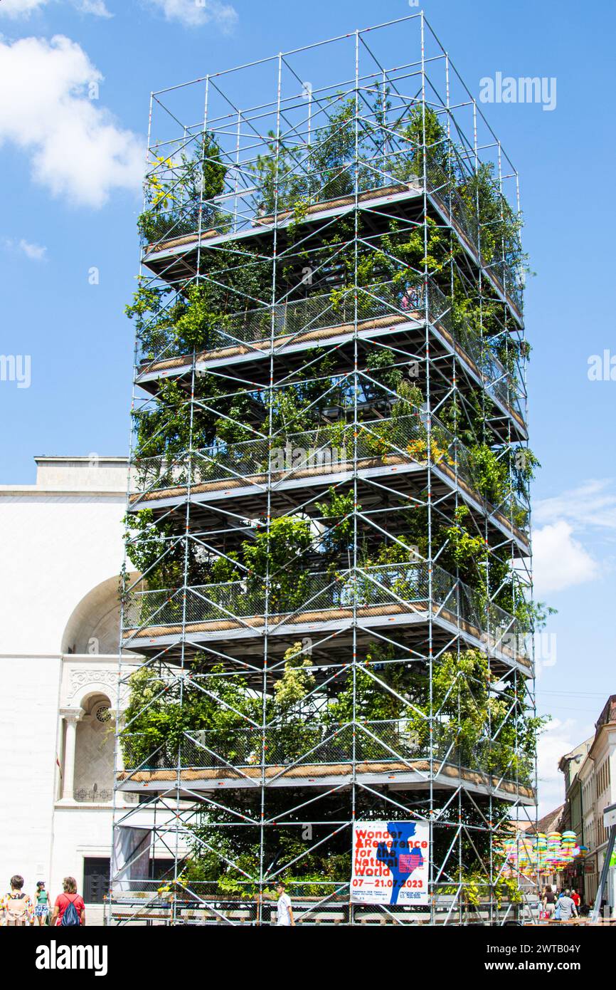 The Nursery -1306 plants for Timișoara. The temporary nursery ...