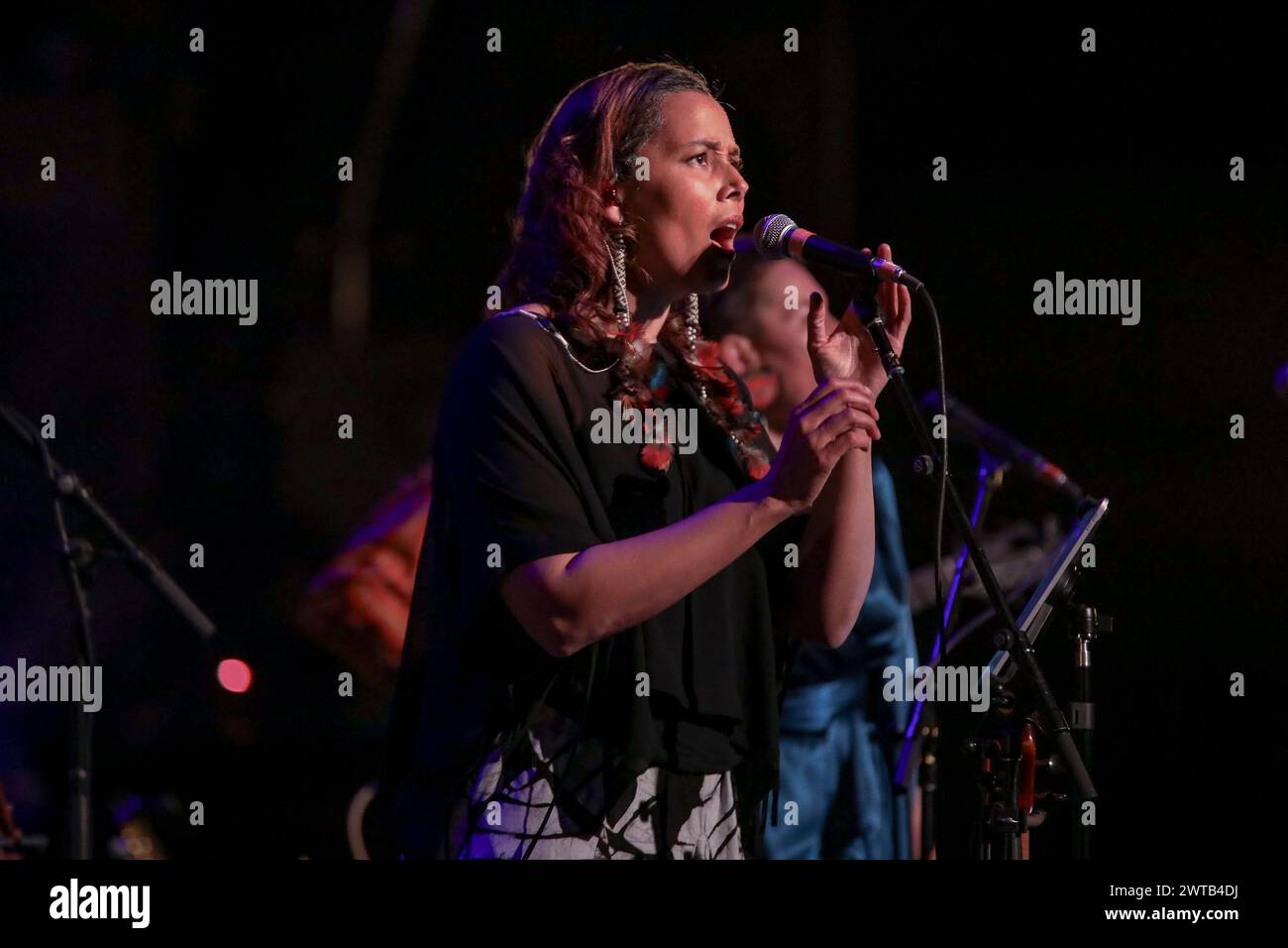 Singer-songwriter Rhiannon Giddens performs at the Beacon Theatre on ...
