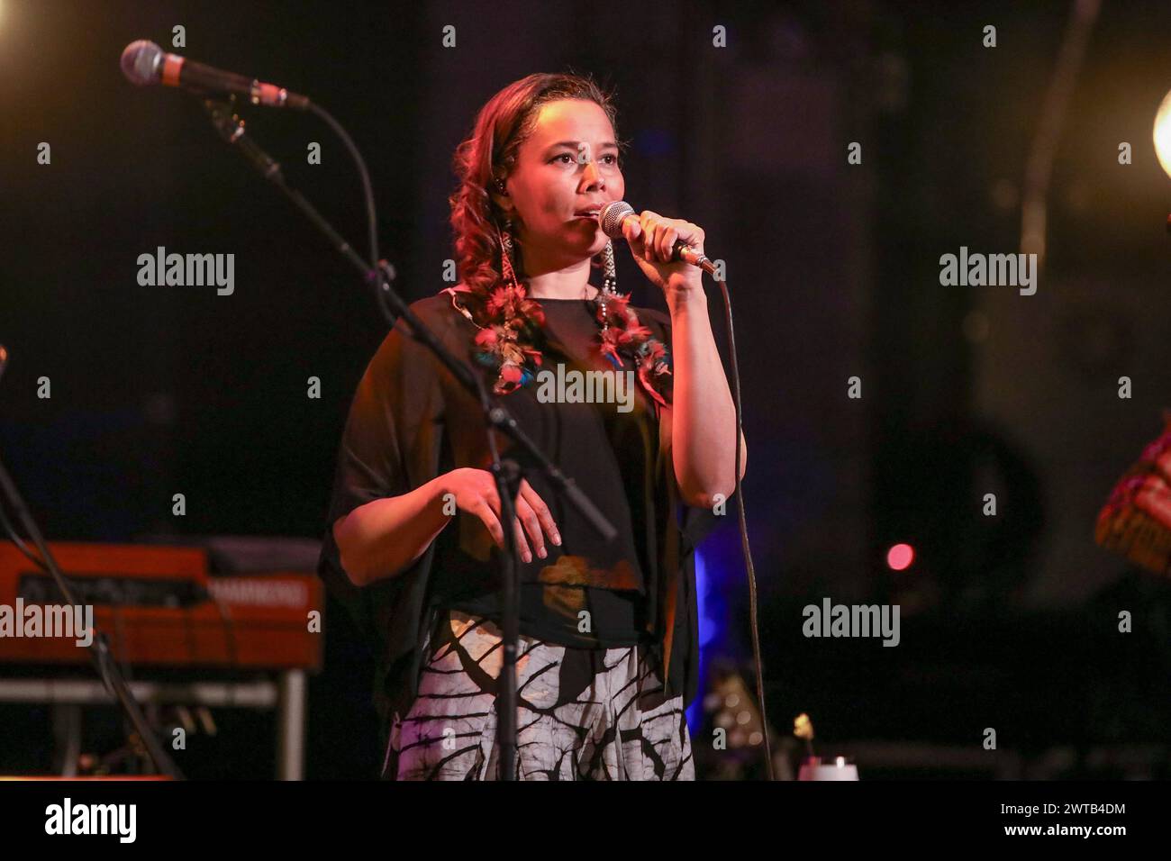 Singer-songwriter Rhiannon Giddens performs at the Beacon Theatre on ...