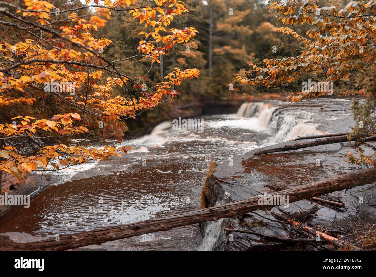This autumn scene at Tahquamenon Falls State Park in Michigan is a ...