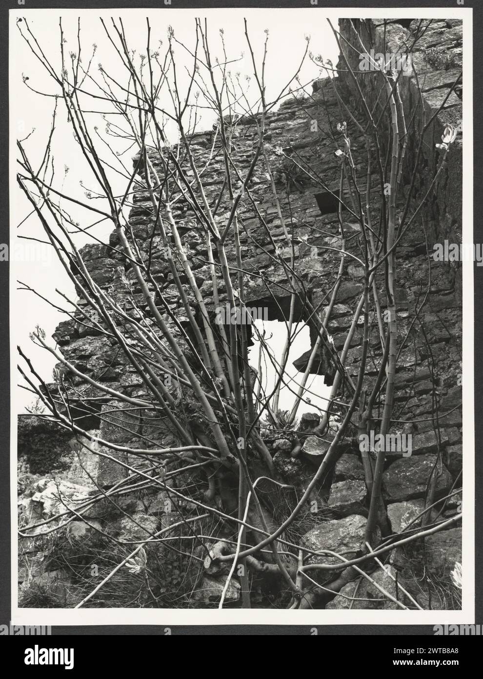 Tuscany Grosseto Rocchette General views. Hutzel, Max 1960-1990 ...