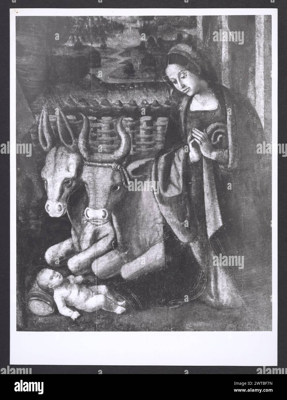 Lazio Viterbo Canino Collegiata, SS. Andrea e Giovanni Battista6 ...