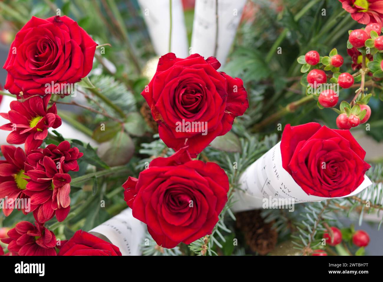 red roses and music sheets Stock Photo - Alamy