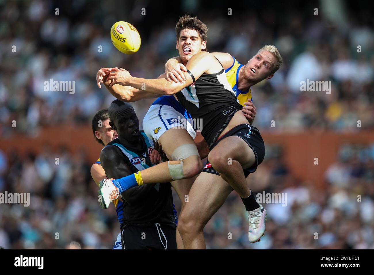 Adelaide, Australia. 17th Mar, 2024. Brandon Zerk-Thatcher of the Power ...