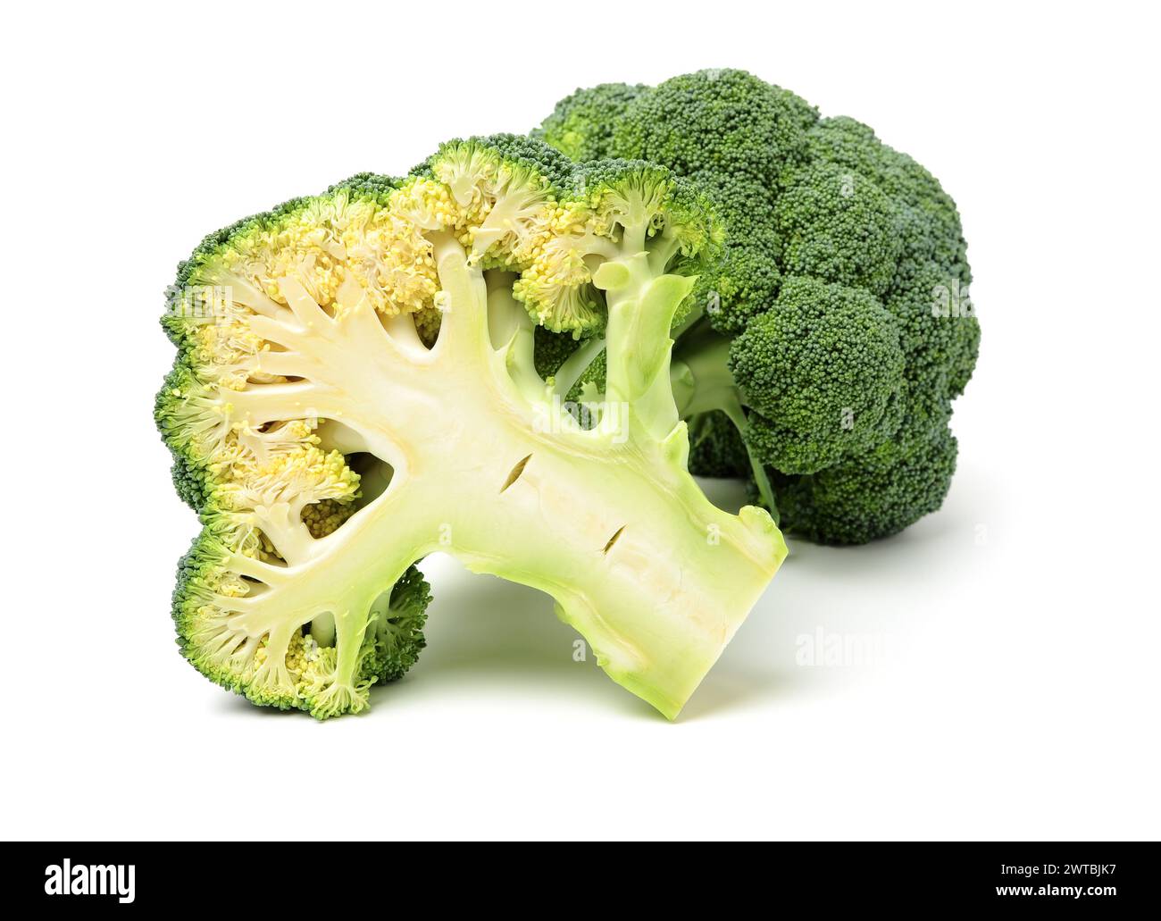 Broccoli vegetable on white background Stock Photo - Alamy