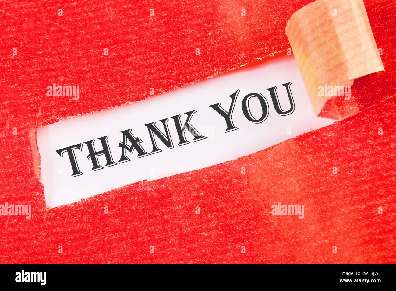 Text Thank You on a white background under torn paper Stock Photo - Alamy
