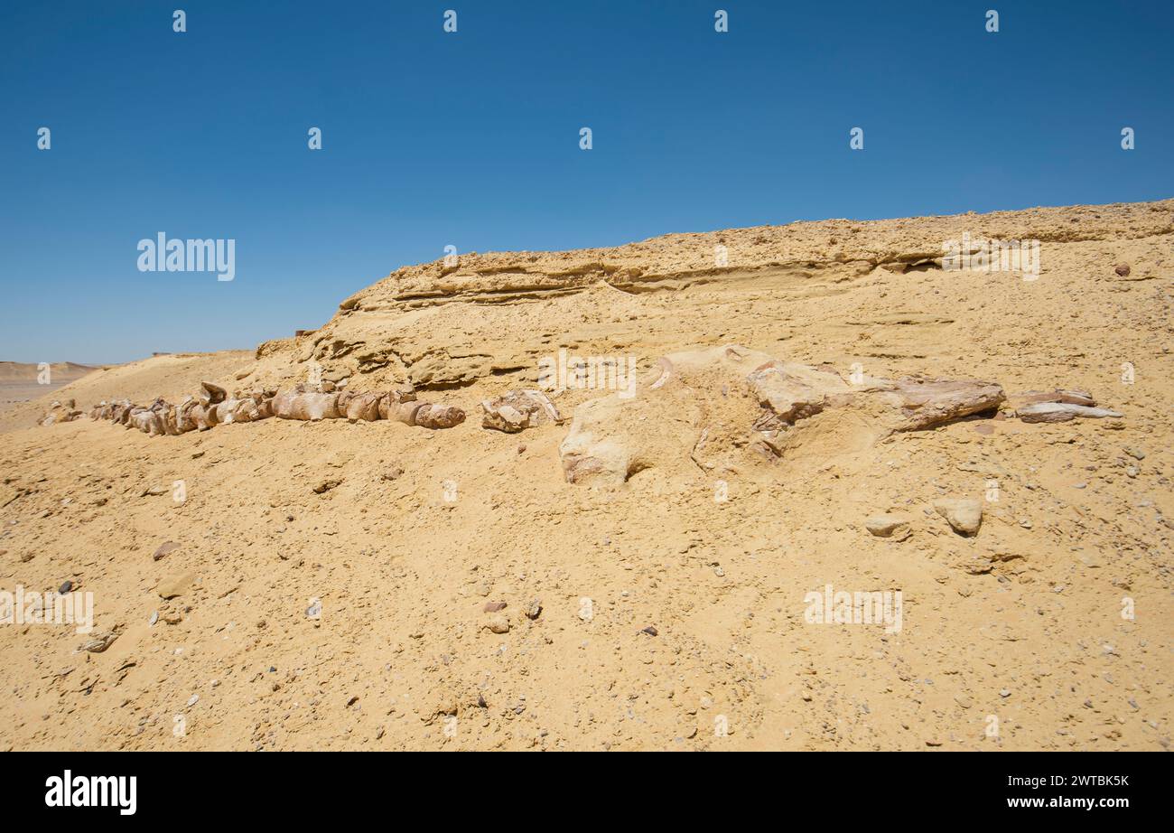 Landscape scenic view of desolate barren western desert in Egypt with ...