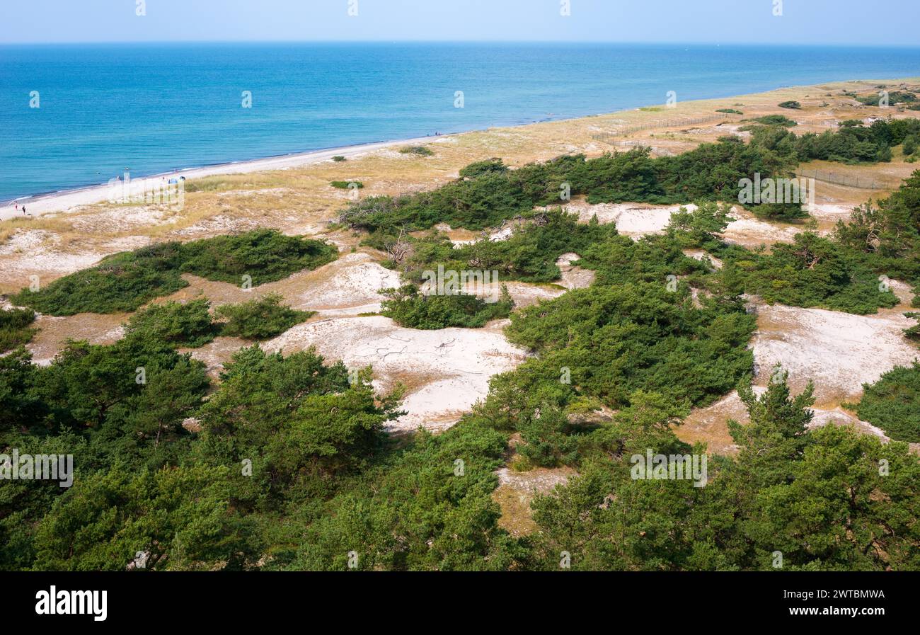 Sandy beach coastal landscape with sandy beach, dunes and sparse ...