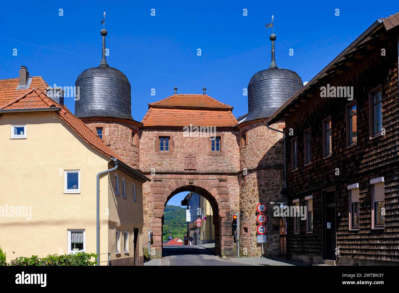 Monument to Baron Ludwig von der Tann, market square, Tann, Ulstertal ...
