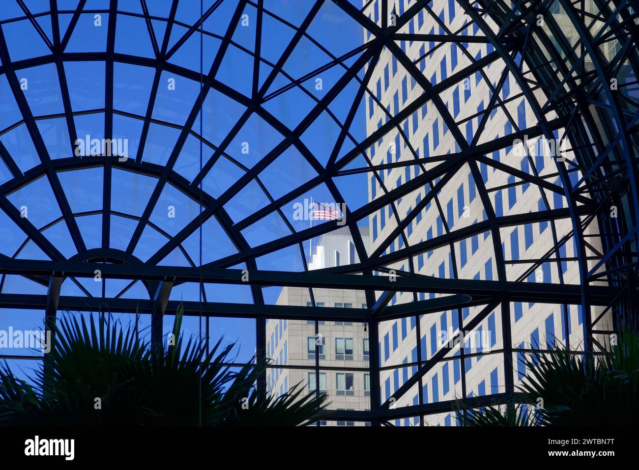 View through a geometric glass ceiling onto skyscrapers, downtown ...