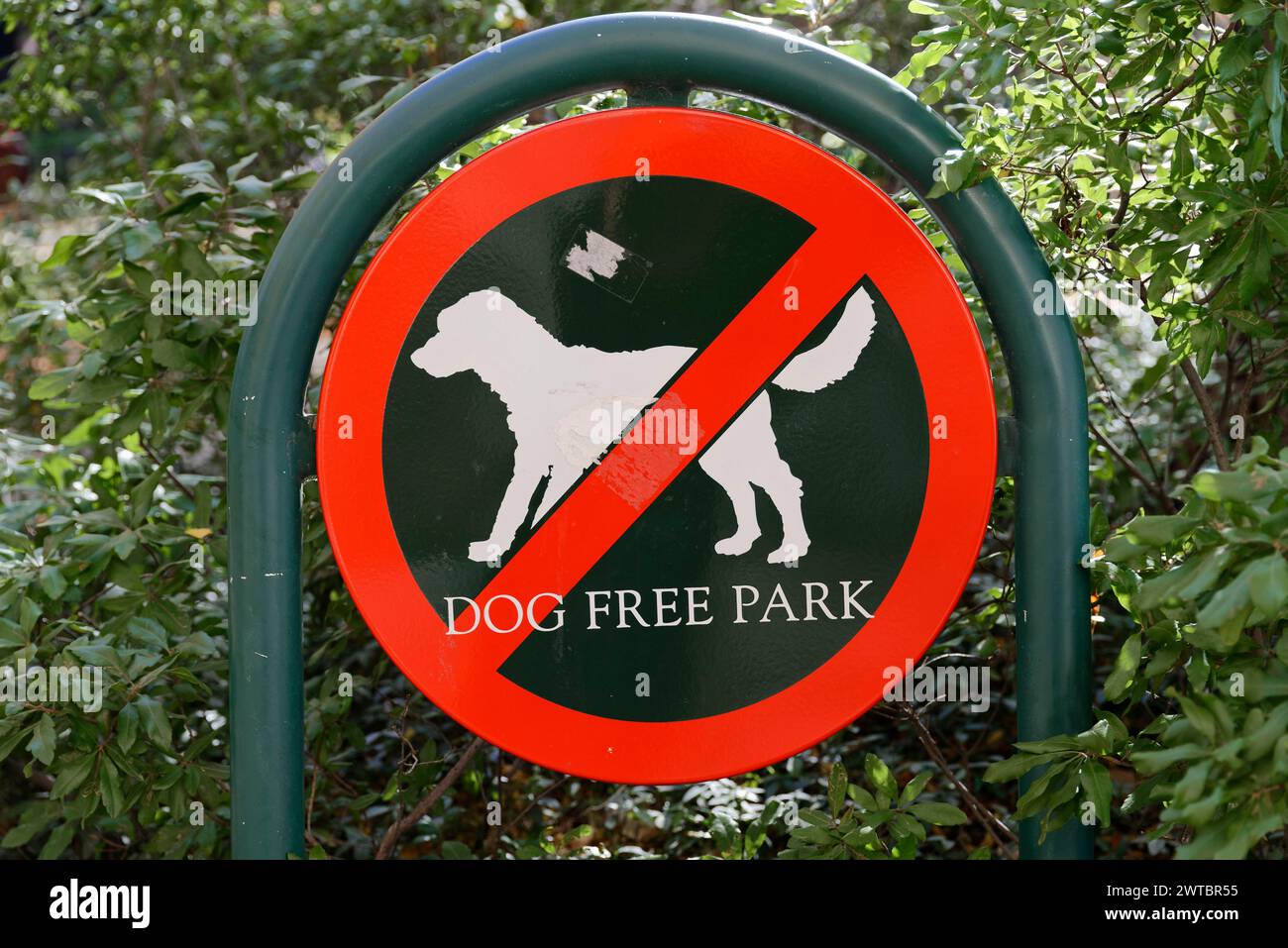 Sign showing a dog ban in a park surrounded by greenery, downtown ...