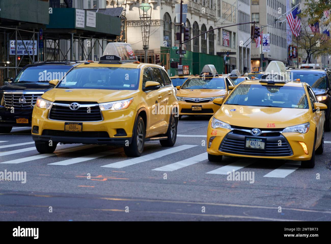 Yellow taxis driving at an intersection in New York City, typical for ...