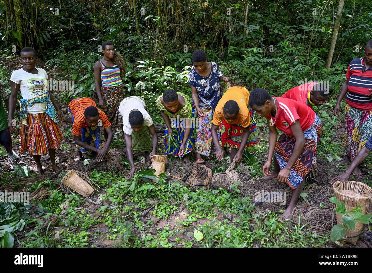 Central africa republic hunting hi-res stock photography and images - Alamy