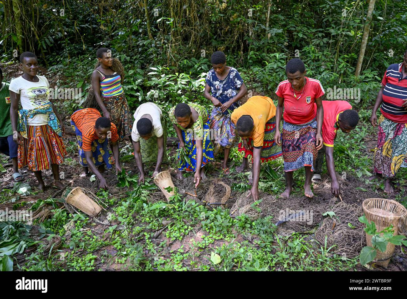 Baka pygmy woman hi-res stock photography and images - Alamy