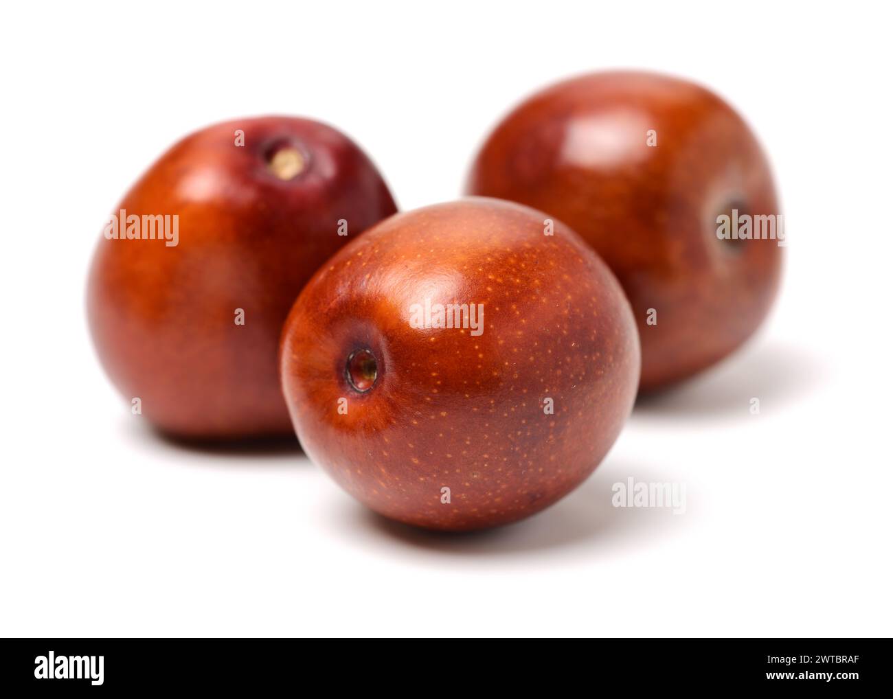 winter jujube on white background Stock Photo - Alamy