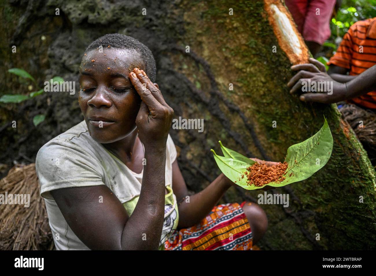 Pygmy woman of the Baka or BaAka people smearing tree bark on her face ...