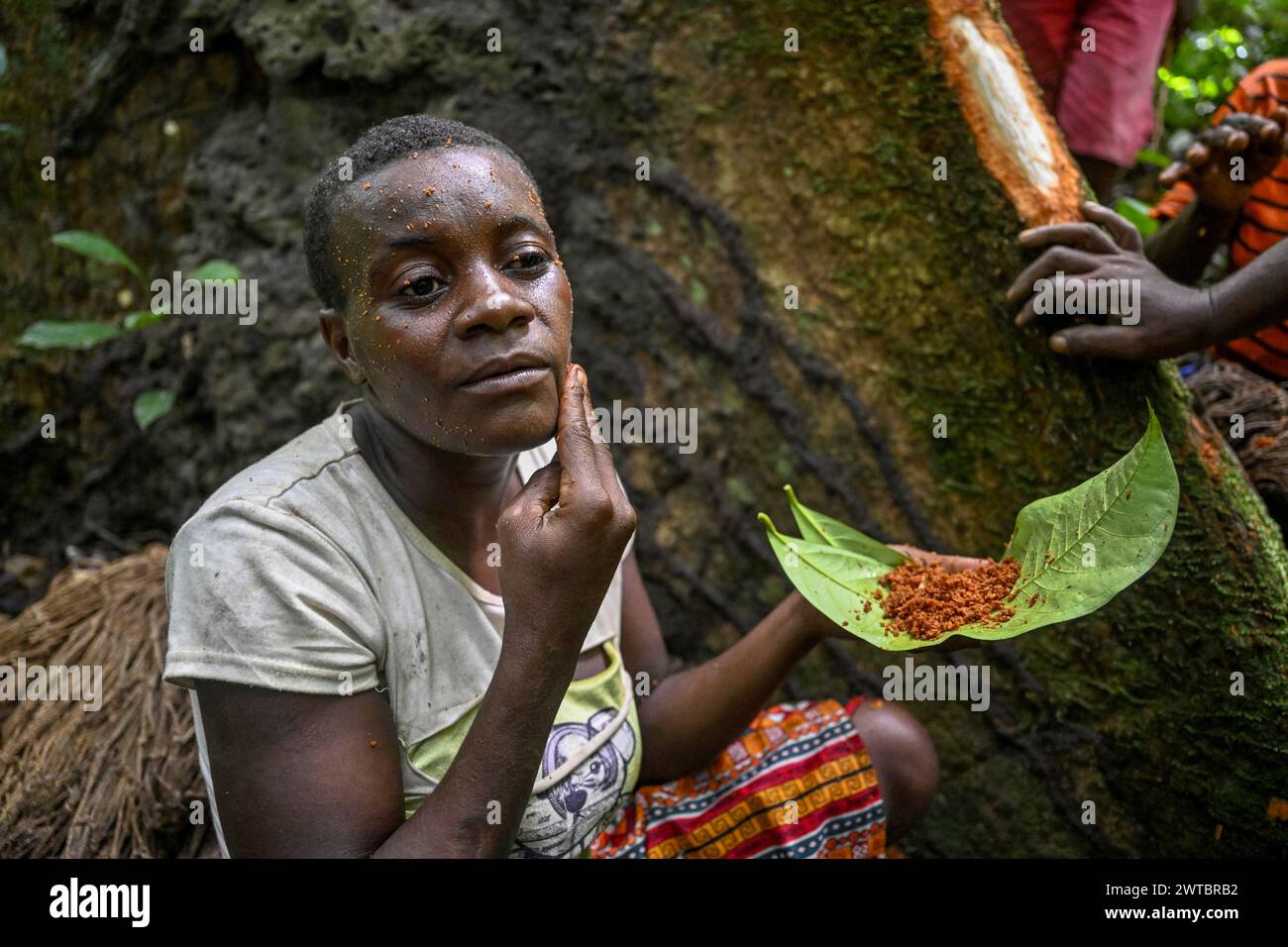 Baka tree hi-res stock photography and images - Alamy