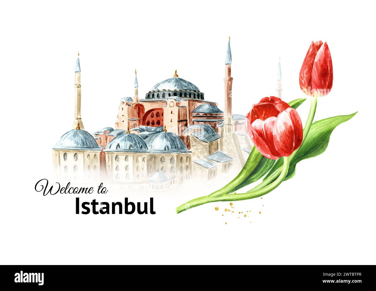 Hagia Sophia mosque with tulip flowers, symbol of Istanbul, Turkey ...