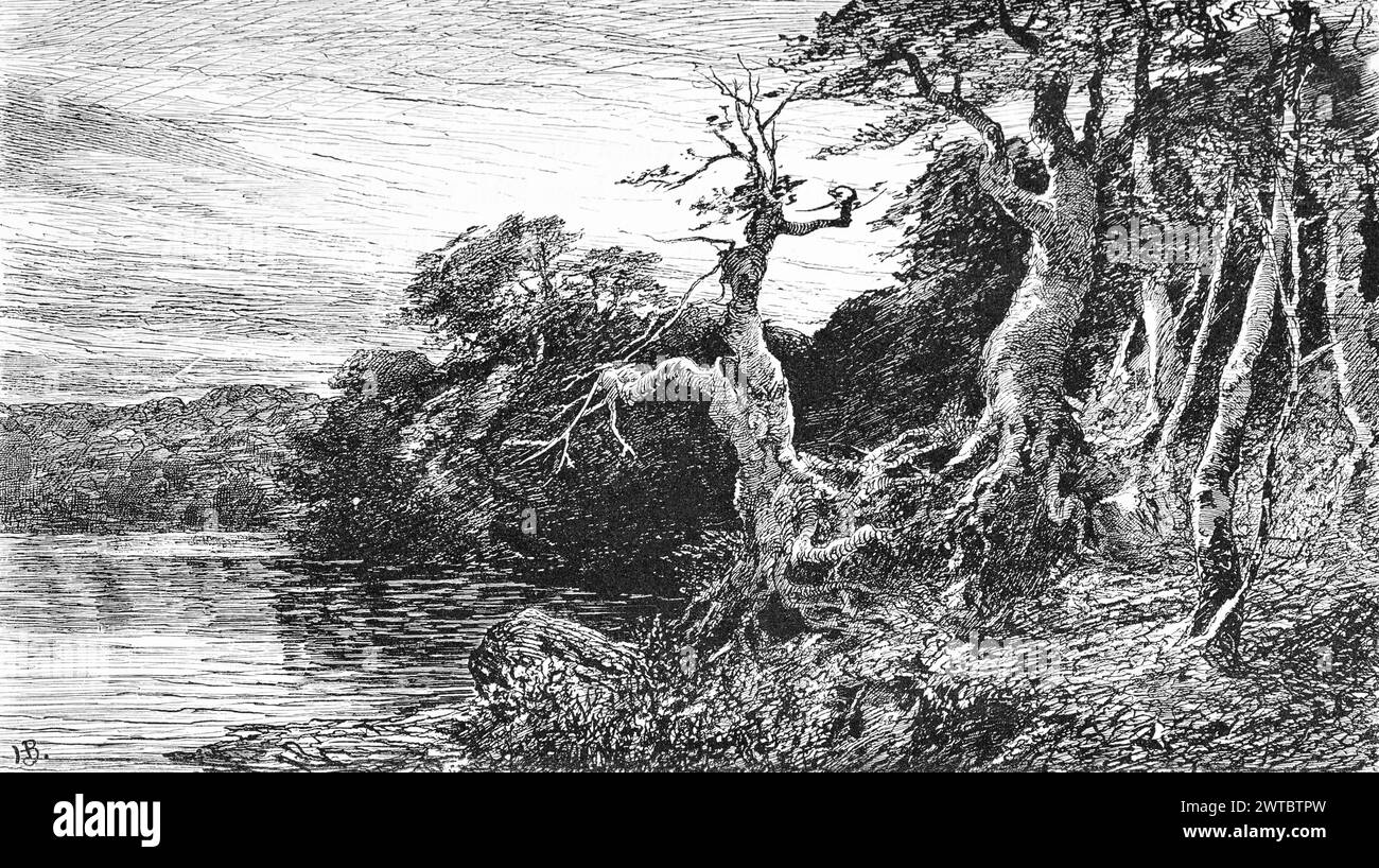 Central root system Black and White Stock Photos & Images - Alamy