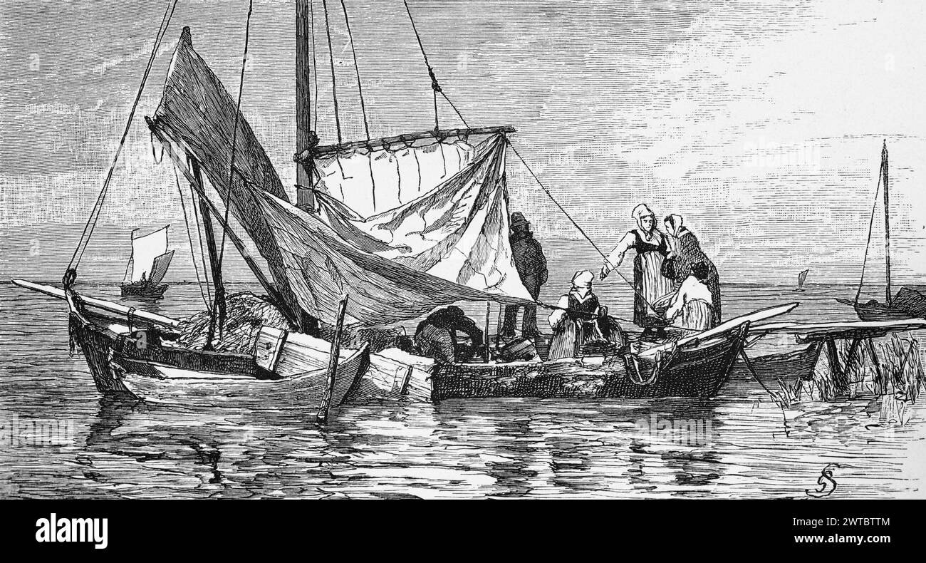 Sailing boats on the Curonian Lagoon, Kaliningrad Oblast, Russia ...