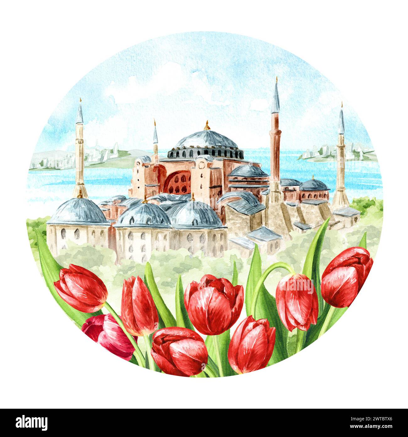 Hagia Sophia mosque with tulip flowers, symbol of Istanbul, Turkey ...