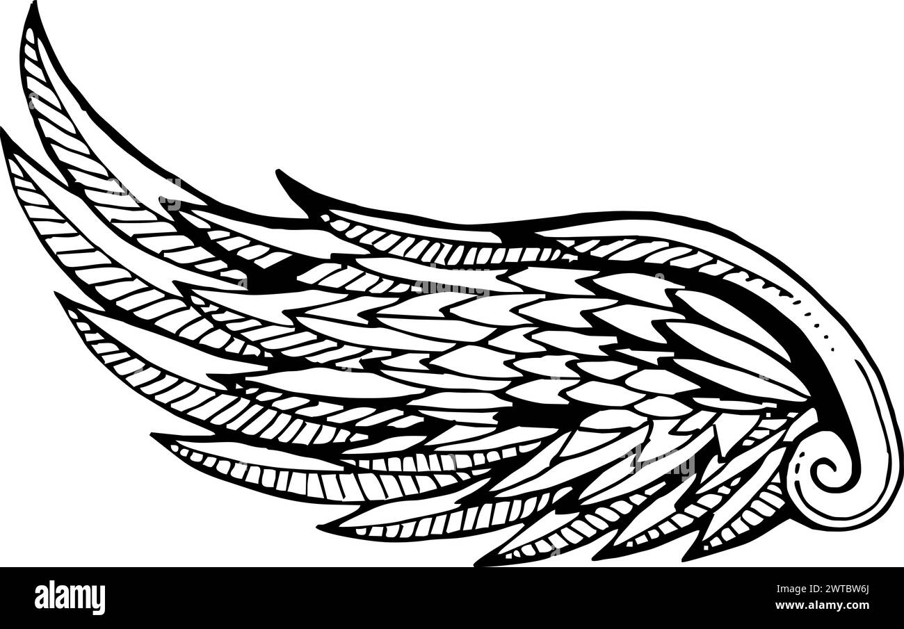 Wing sketch. Decorative ornate bird feathers drawing Stock Vector Image ...