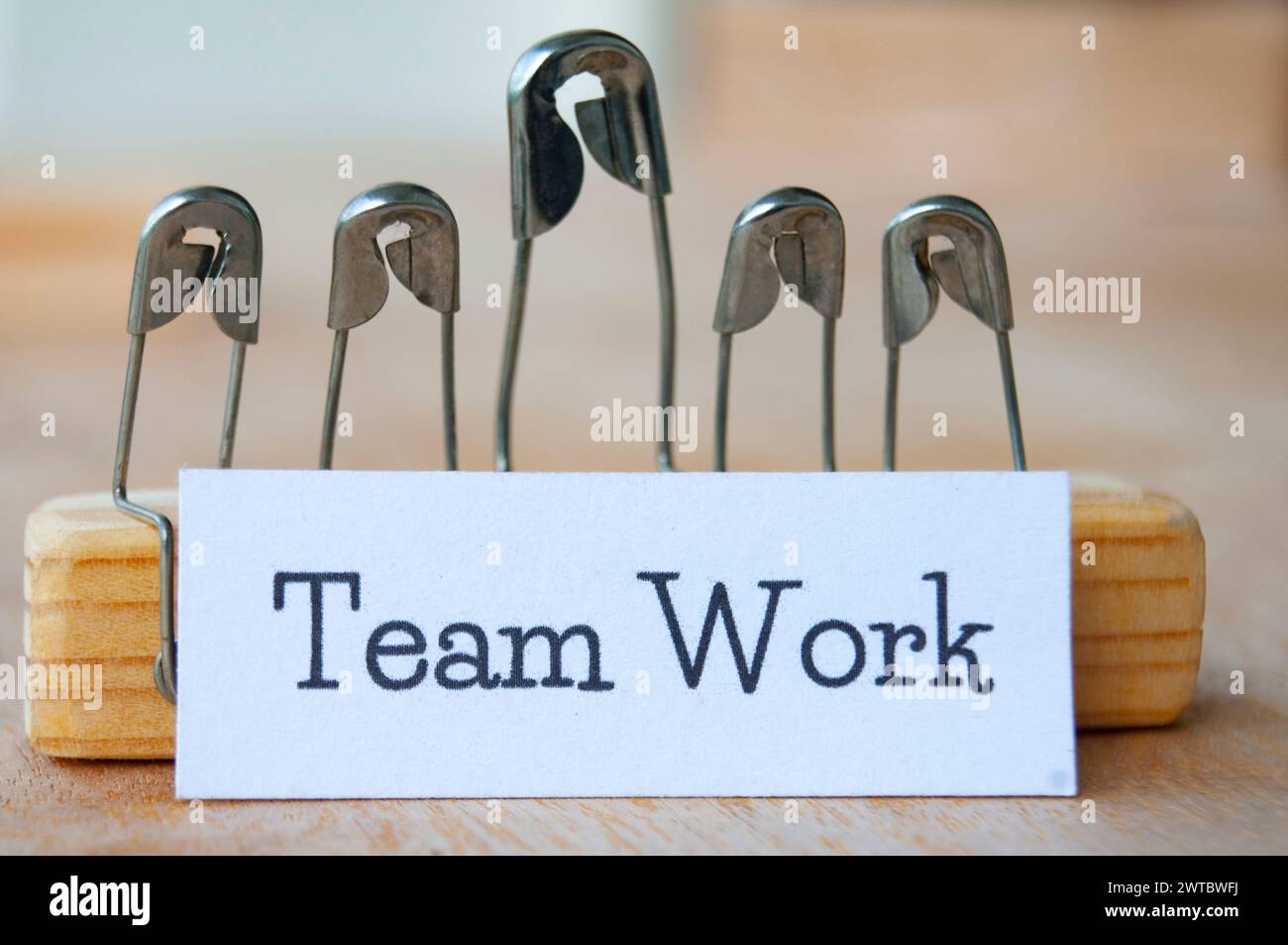A leader with his or her people working as a team. Leadership and one ...