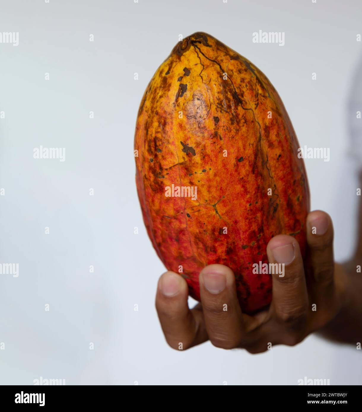 Hand holding mango hi-res stock photography and images - Alamy