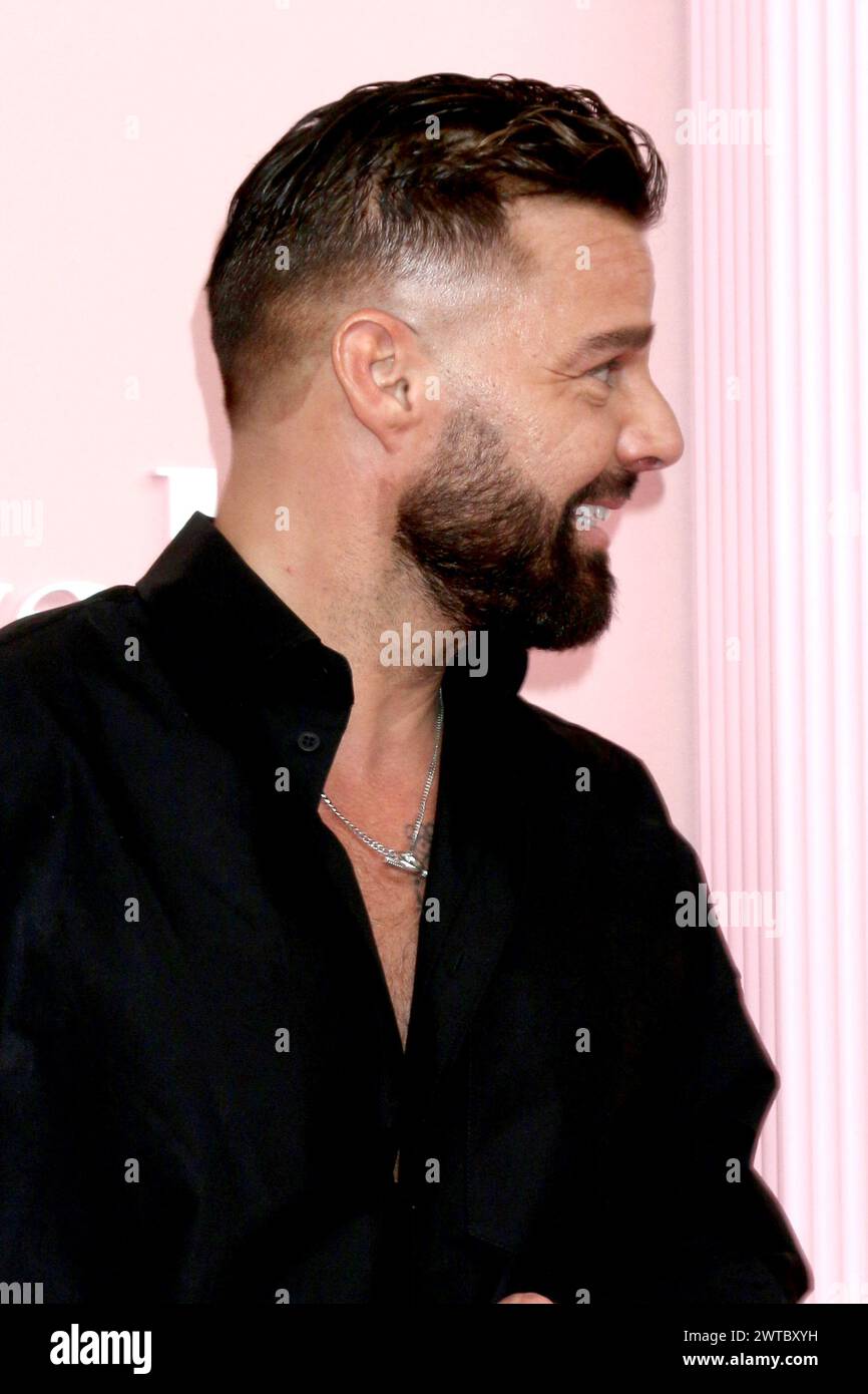 LOS ANGELES - MAR 14: Ricky Martin at the Palm Royal World Premiere ...