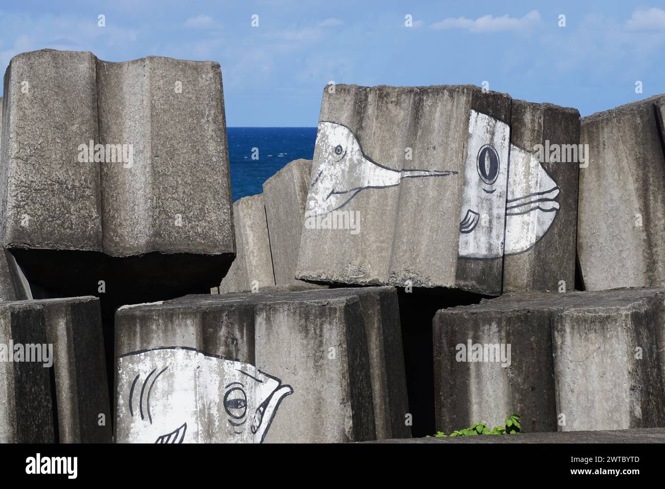 closeup of black and white, fun and different painted fishes on wave ...