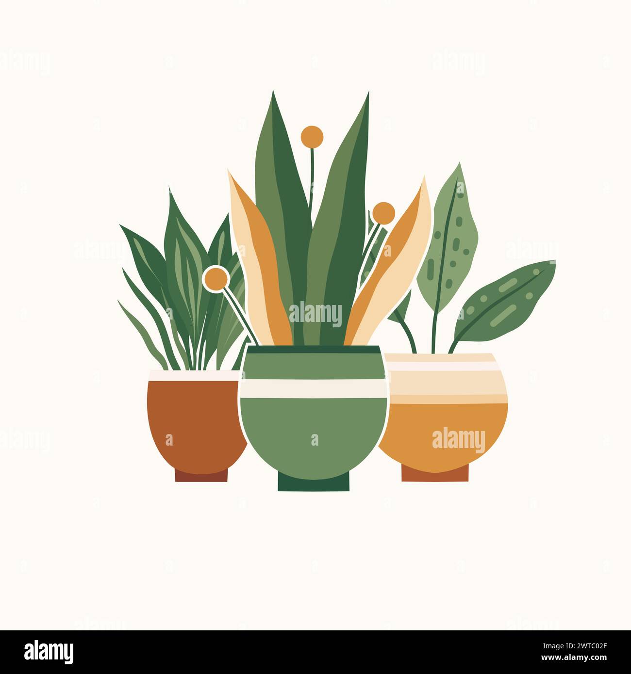 Vector cozy illustration of home plants in clay pots in flat style ...