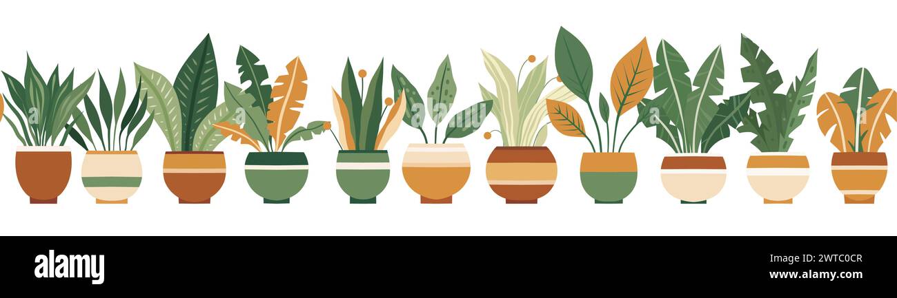 Vector seamless border with house plants in various pots isolated from ...