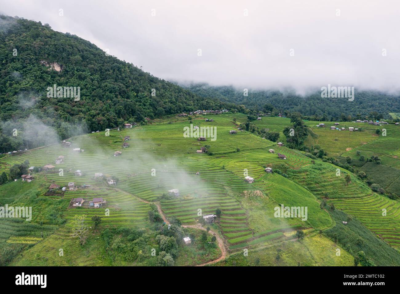 Aerial views of Small house and rice terraces field at pabongpaing ...