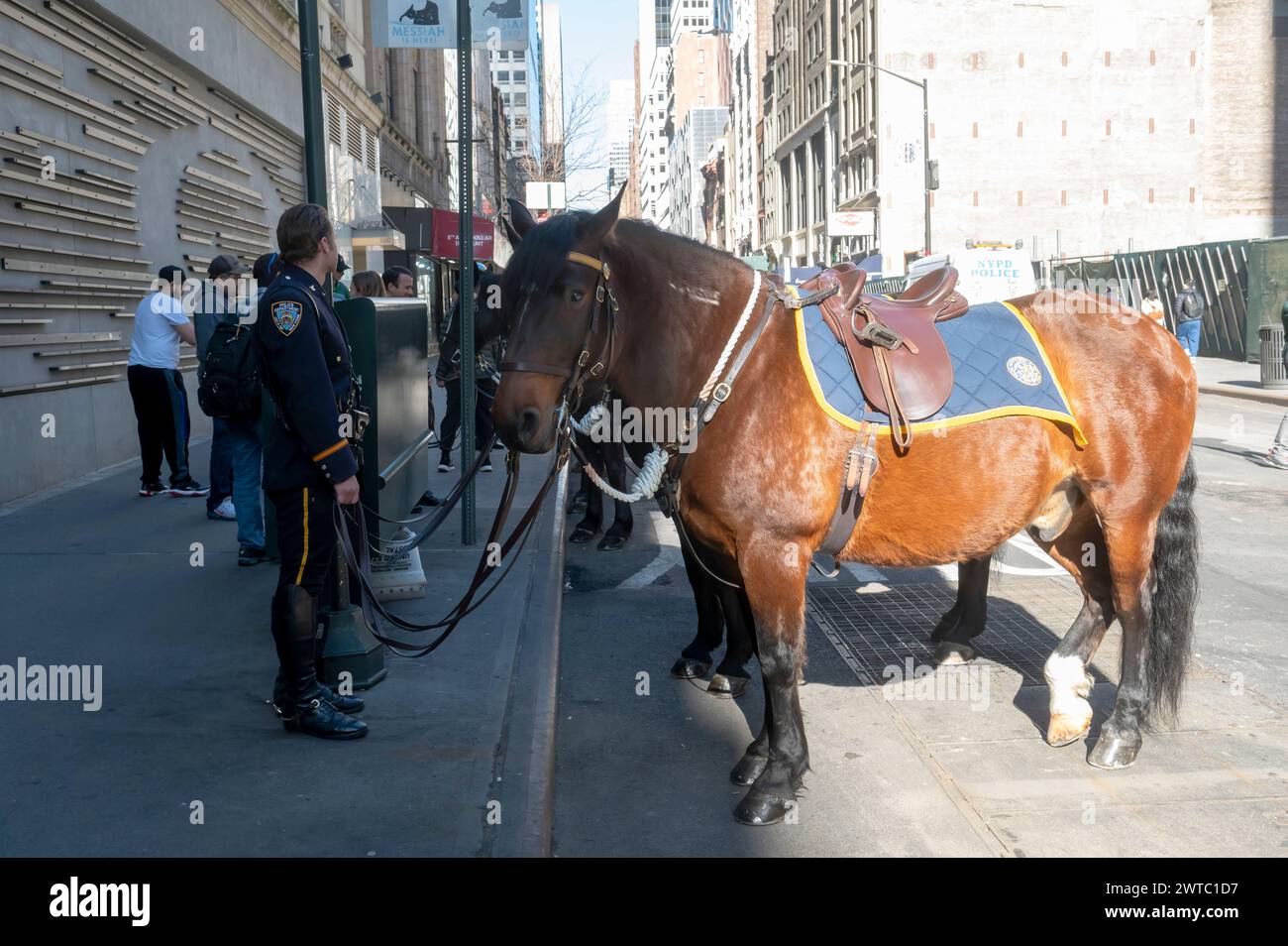 Nypd mounted unit hi-res stock photography and images - Alamy