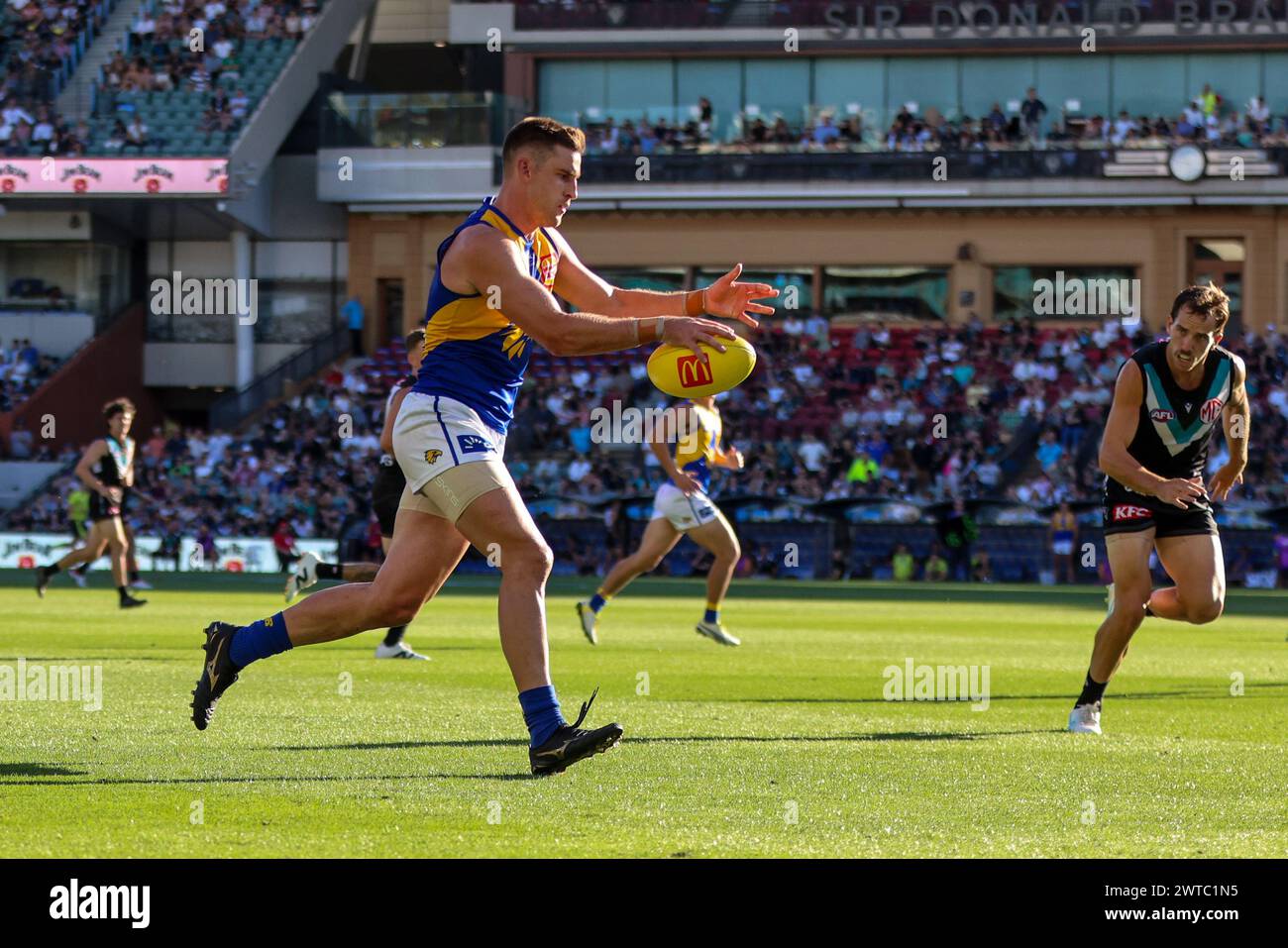 Elliot Yeo of the Eagles during the AFL Round 1 match between the Port ...