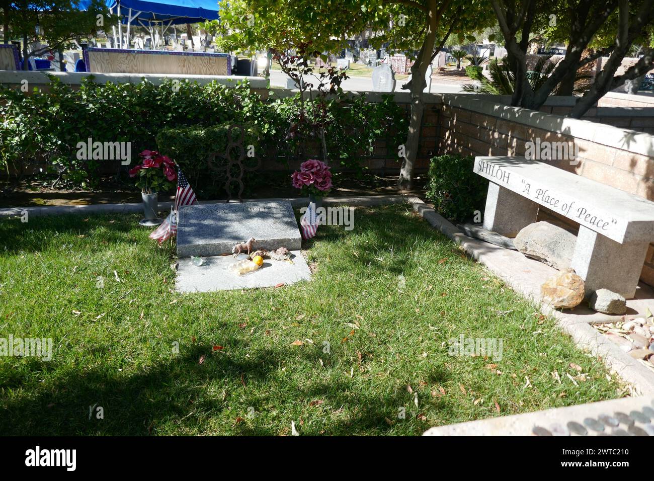 Las Vegas, Nevada, USA 8th March 2024 Actor Tony Curtis Grave in Legacy ...
