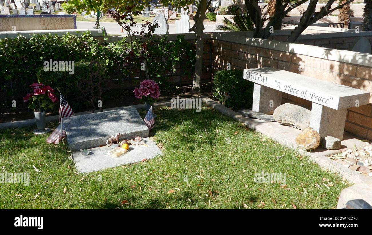 Las Vegas, Nevada, USA 8th March 2024 Actor Tony Curtis Grave in Legacy ...